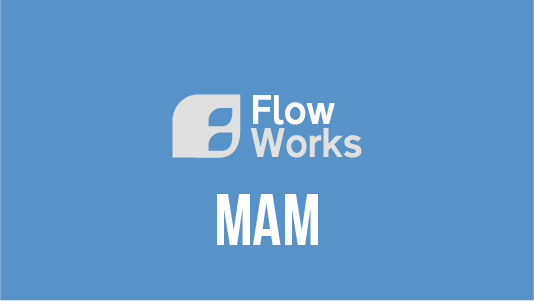 Flow Works | x-dream-distribution | Partners